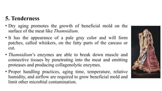 Meat ageing | PPTX