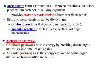 Unit 4 Metabolism & matabolic disorder (3).pdf