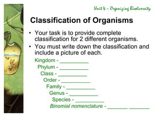 Unit 4 Notes | PPT