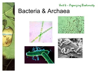 Unit 4 Notes | PPT