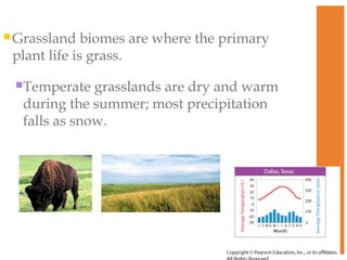 Biology Unit 4 notes | PPT