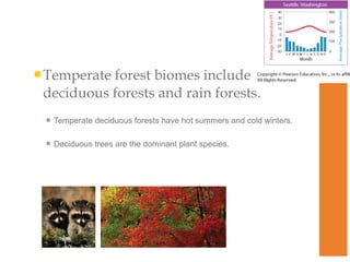 Biology Unit 4 notes | PPT