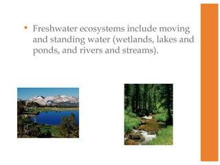 Biology Unit 4 notes | PPT