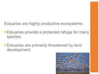 Biology Unit 4 notes | PPT