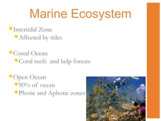 Biology Unit 4 notes | PPT