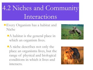 Biology Unit 4 notes | PPT