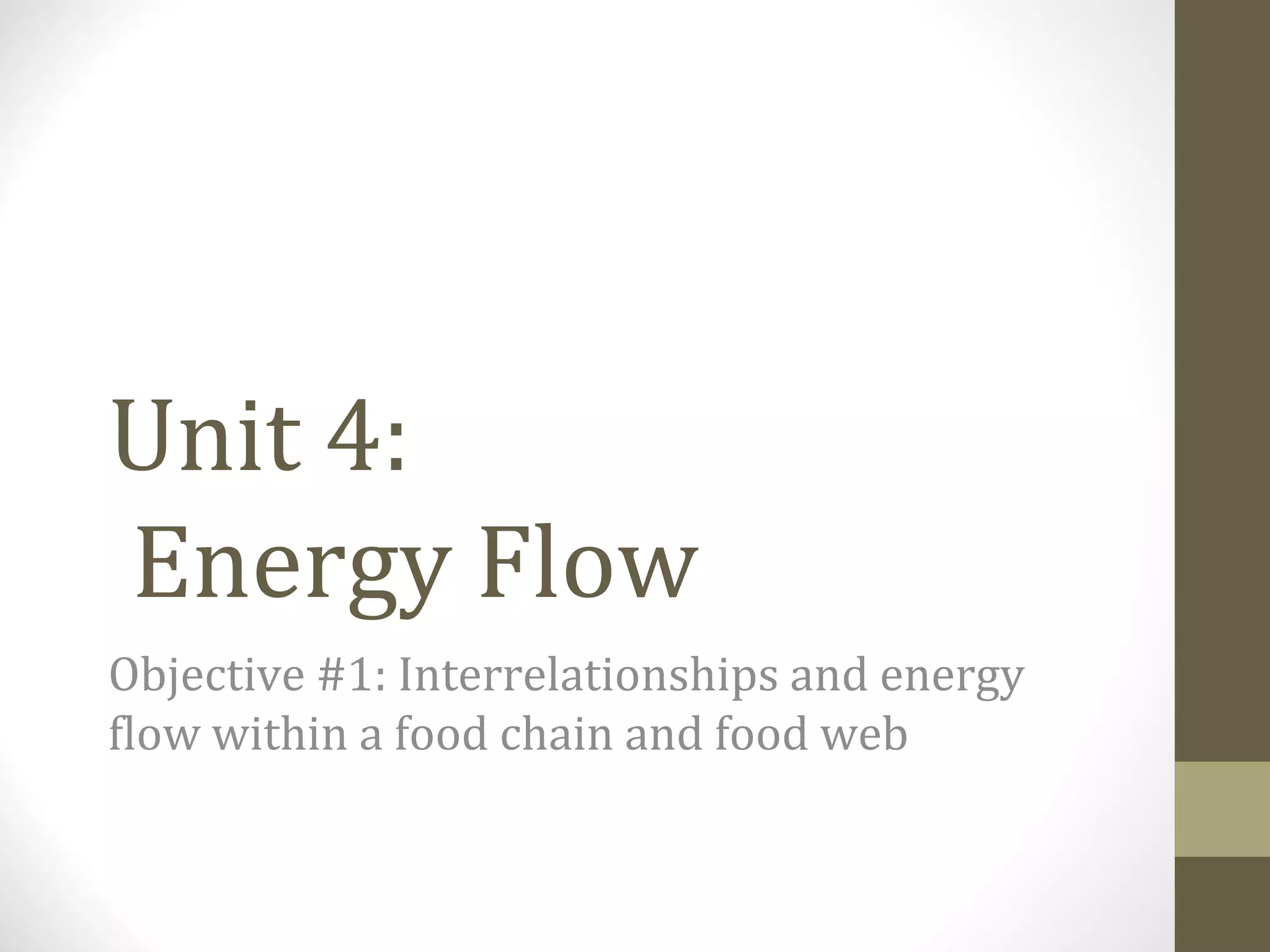 Energy Flow - Food Chains/Webs | PPT