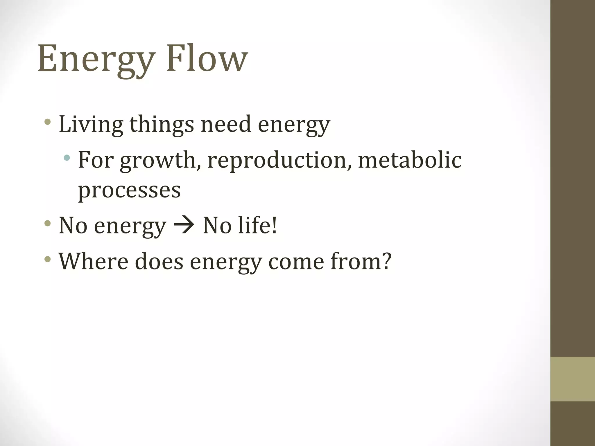 Energy Flow - Food Chains/Webs | PPT