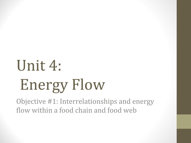 Energy Flow - Food Chains/Webs | PPT | Biological Sciences | Science