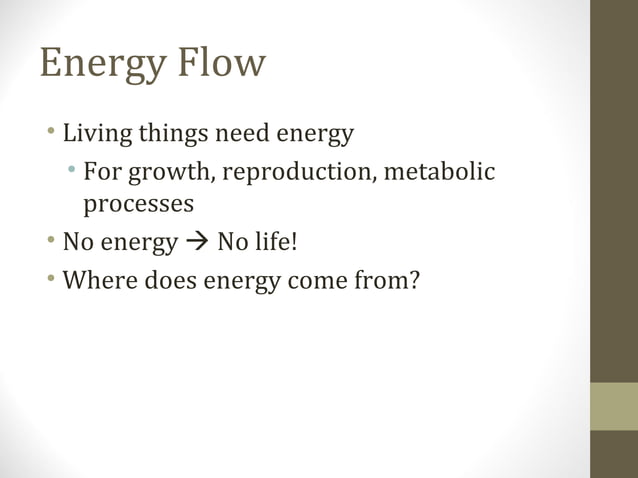 Energy Flow - Food Chains/Webs | PPT | Biological Sciences | Science