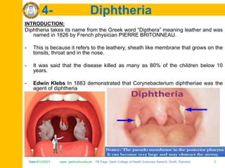Corynebacterium Diphtheriae Pharyngitis