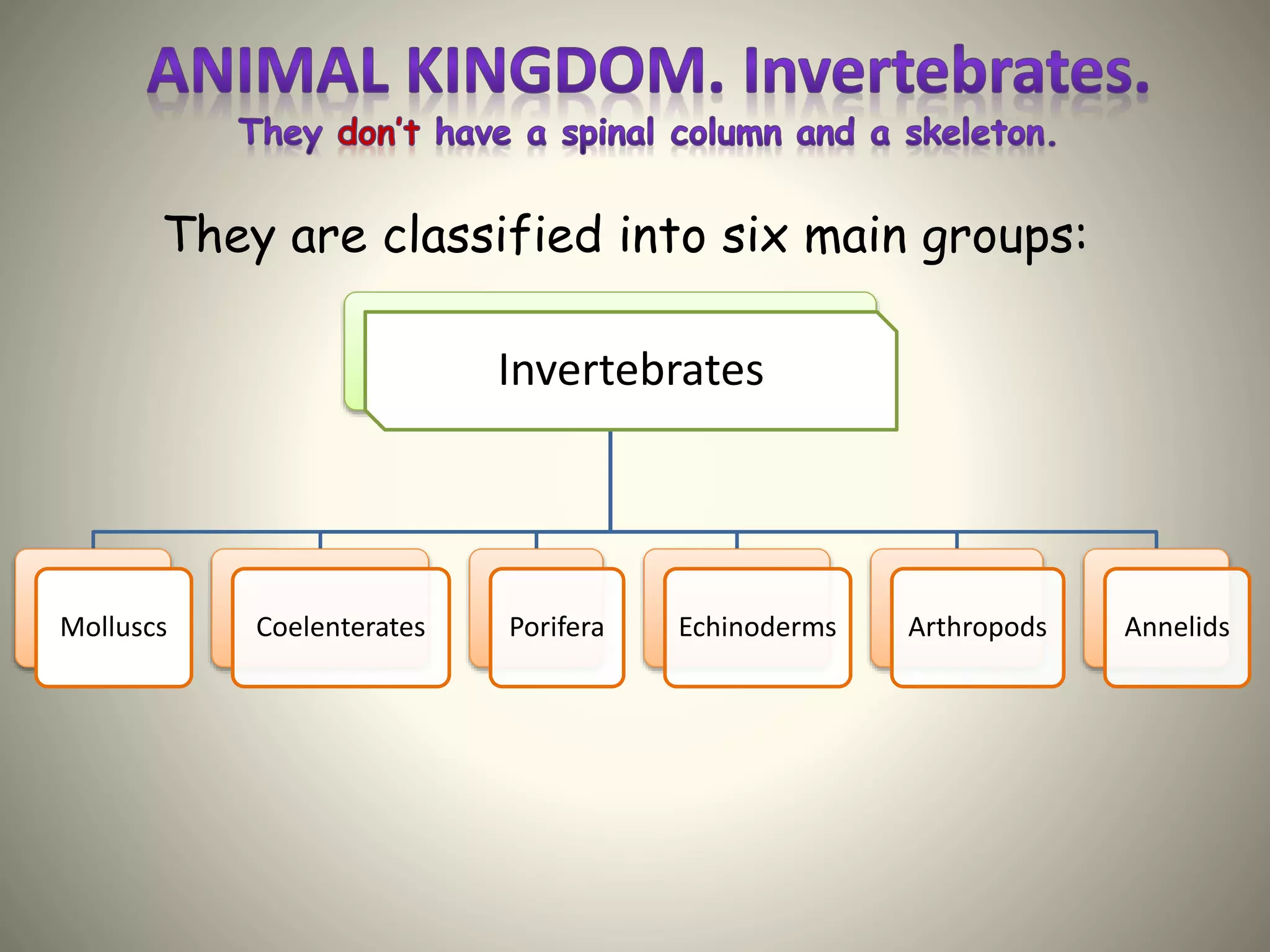 Invertebrates | PPT