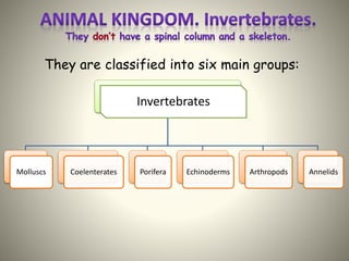 Invertebrates | PPT