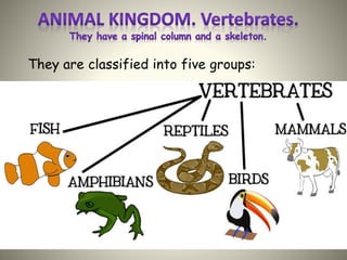 Vertebrates | PPTX
