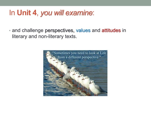 Unit 4 perspectives | PPT