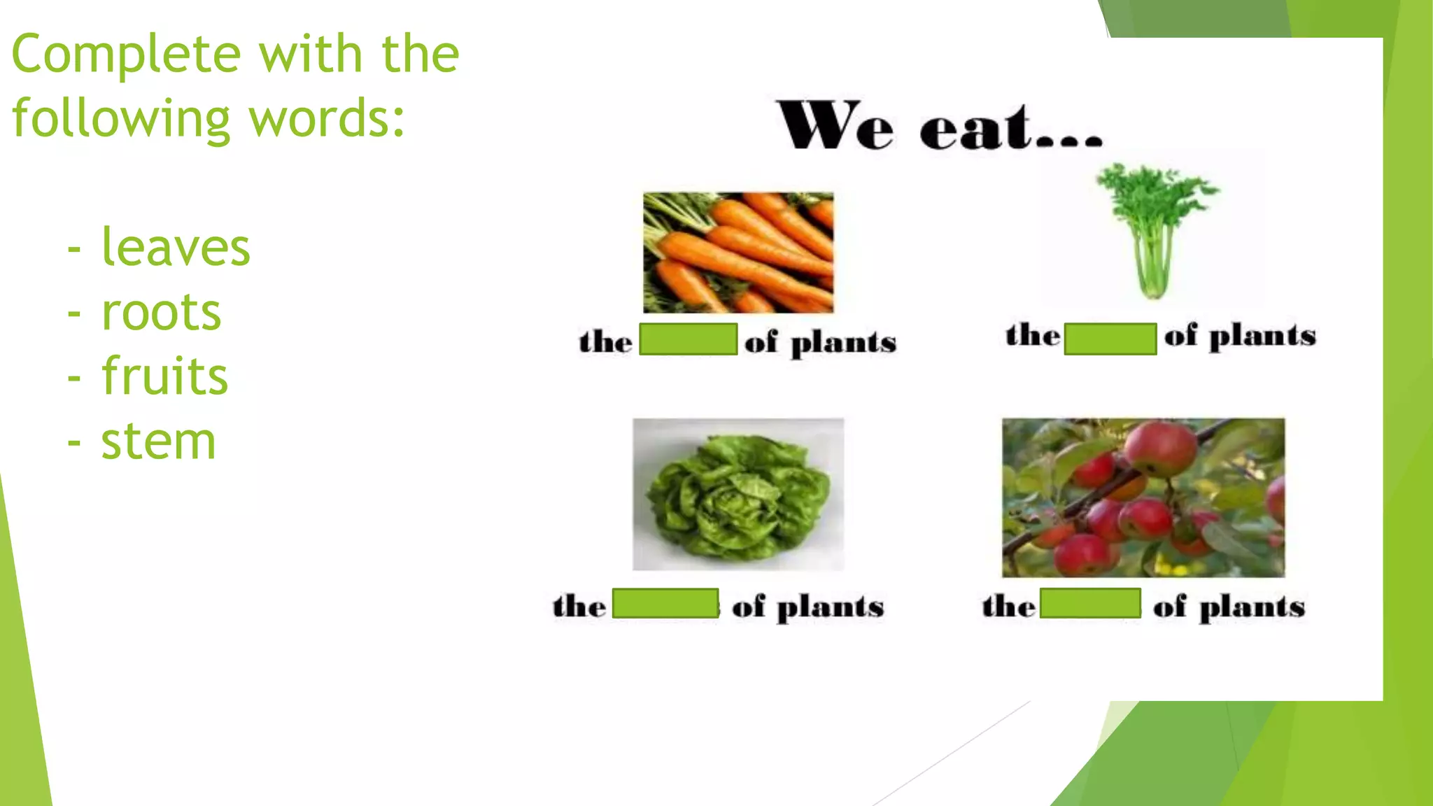Unit 4 – plants | PPTX