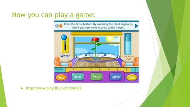 Unit 4 – plants | PPTX