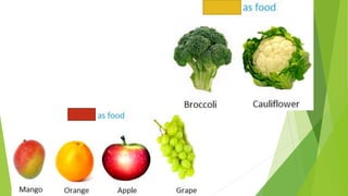 Unit 4 – plants | PPTX