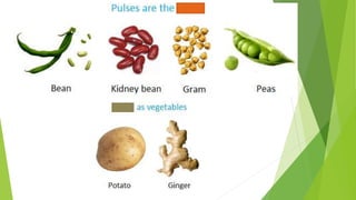 Unit 4 – plants | PPTX