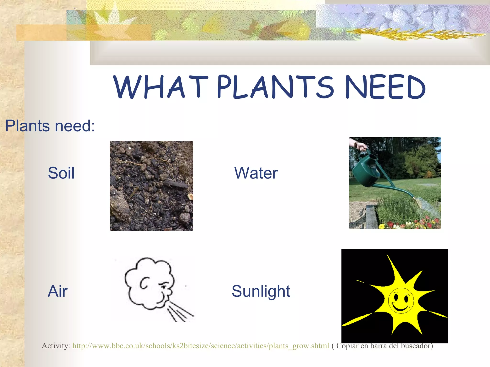 Unit 4 plants and nature mia | PPT