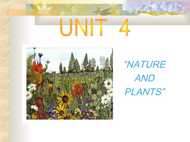 Unit 4 plants and nature mia | PPT