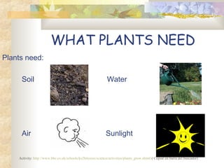 Unit 4 plants and nature mia | PPT