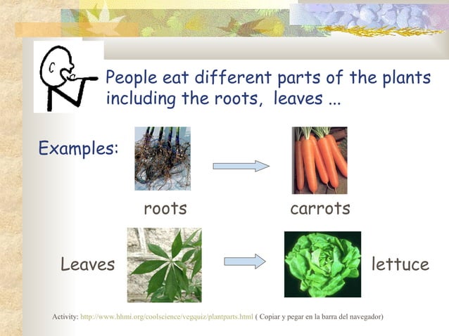 Unit 4 plants and nature mia | PPT