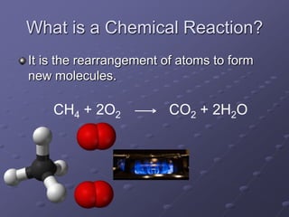 Unit 4 Power Point | PPT
