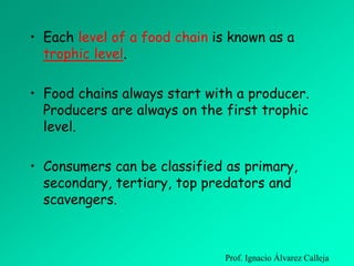 Ecosystems | PPTX | Geography | Science
