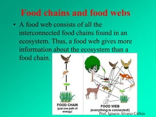 Ecosystems | PPTX | Geography | Science