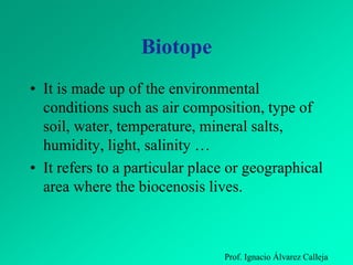 Ecosystems | PPTX | Geography | Science