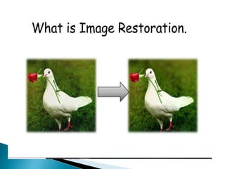 Early Binding, Late Binding, Virtual Fun | PPT