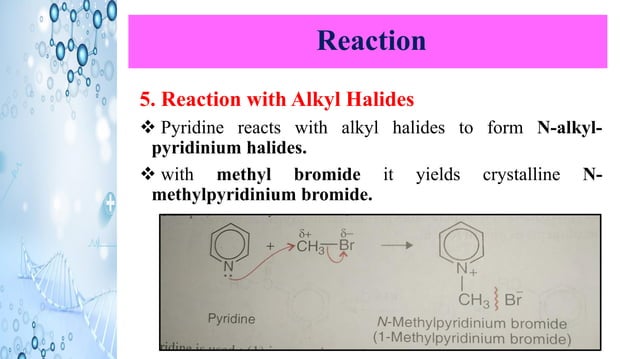 Unit 4 Pyridine | PDF