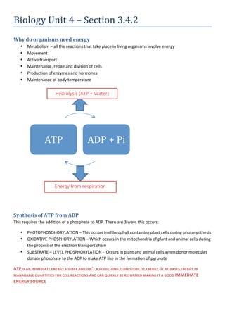 AQA Biology Unit 4 Revision Notes | PDF