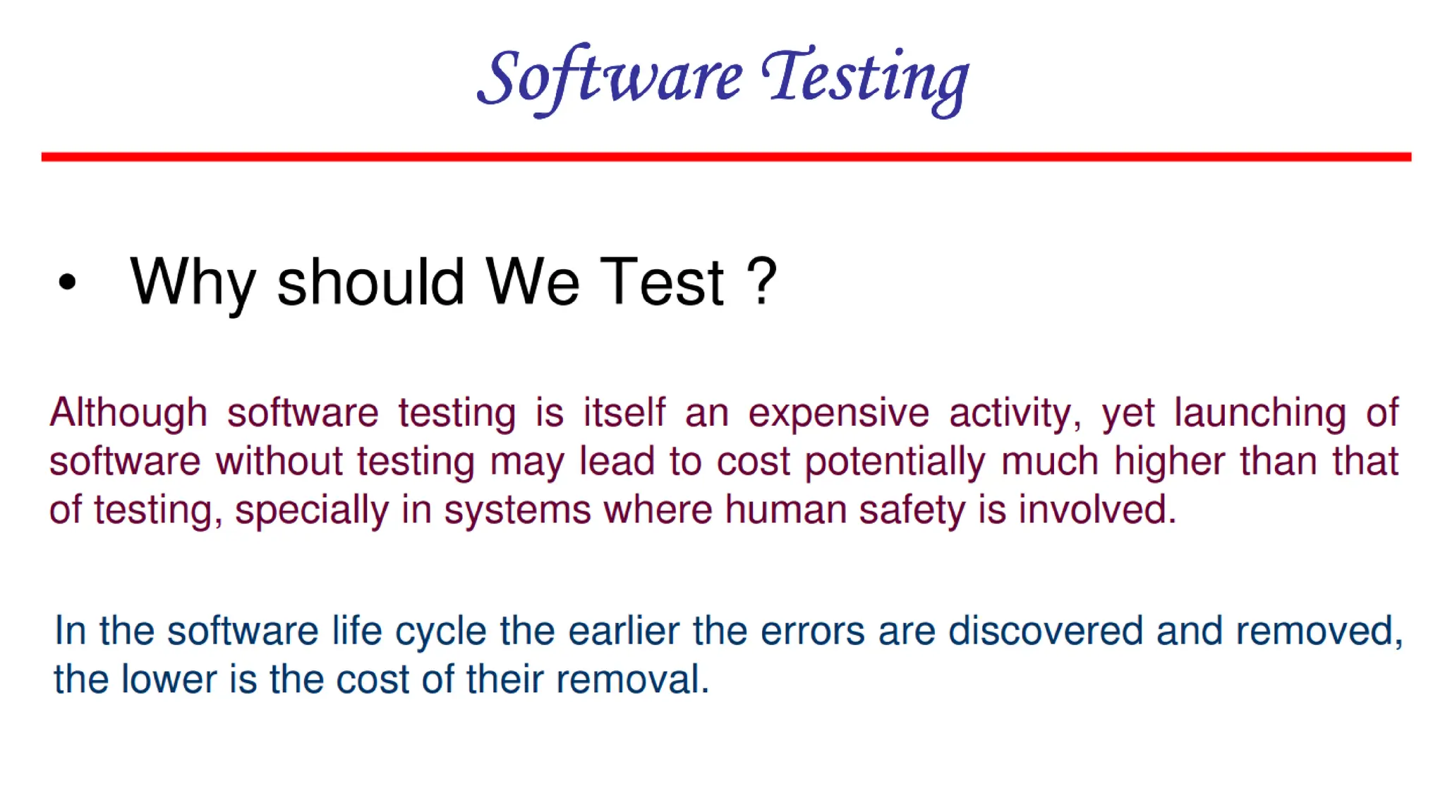 What is Testing in Software Engineering? | PDF