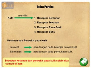 Unit 4 SISTEM INDRA.ppt ahfiuwehwhjfscsuiu | PPT