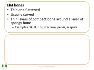 Unit 4 Skeletal System | PPTX