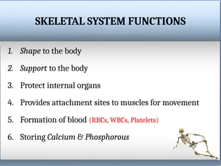 Unit 4 Skeletal System.ppt.pptxopresentatiom | PPTX