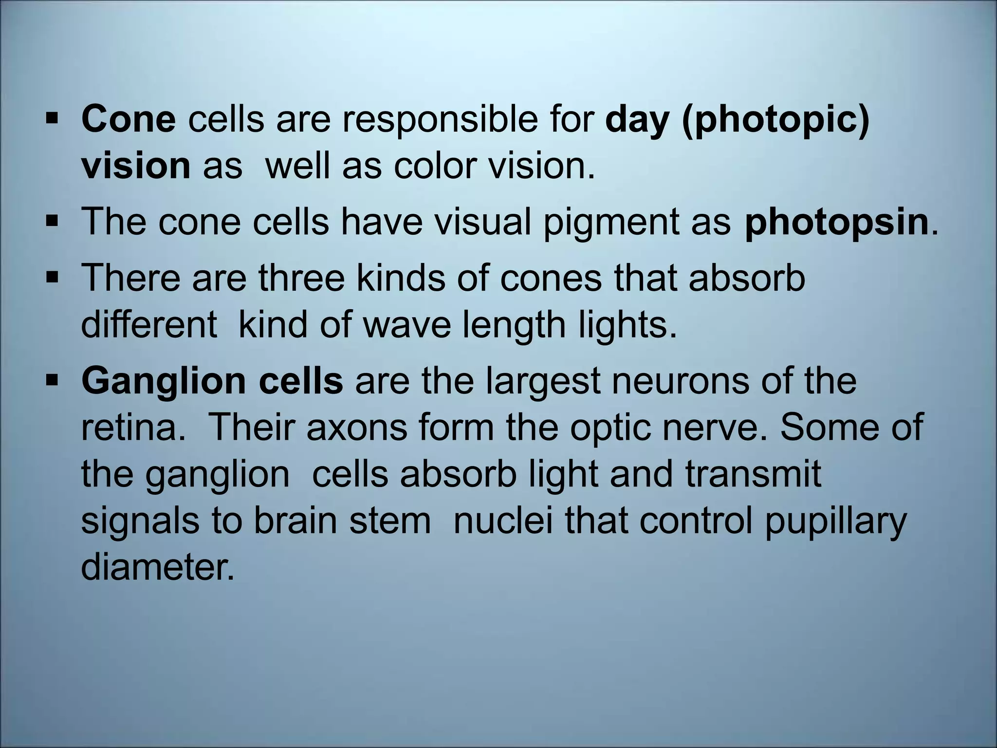 Unit 4; Special Senses, Educational Platform.pptx