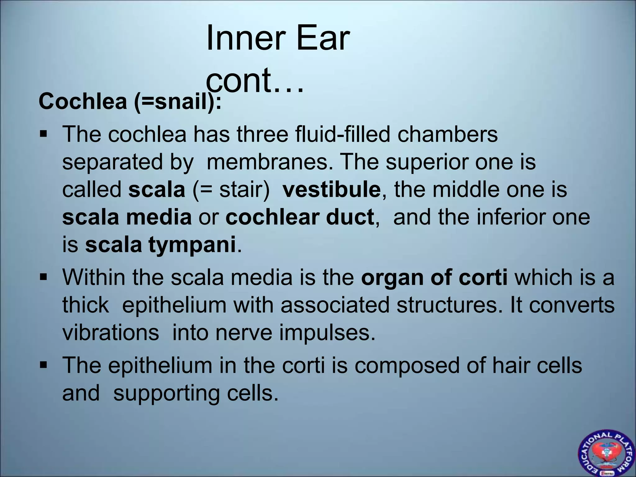 Unit 4; Special Senses, Educational Platform.pptx