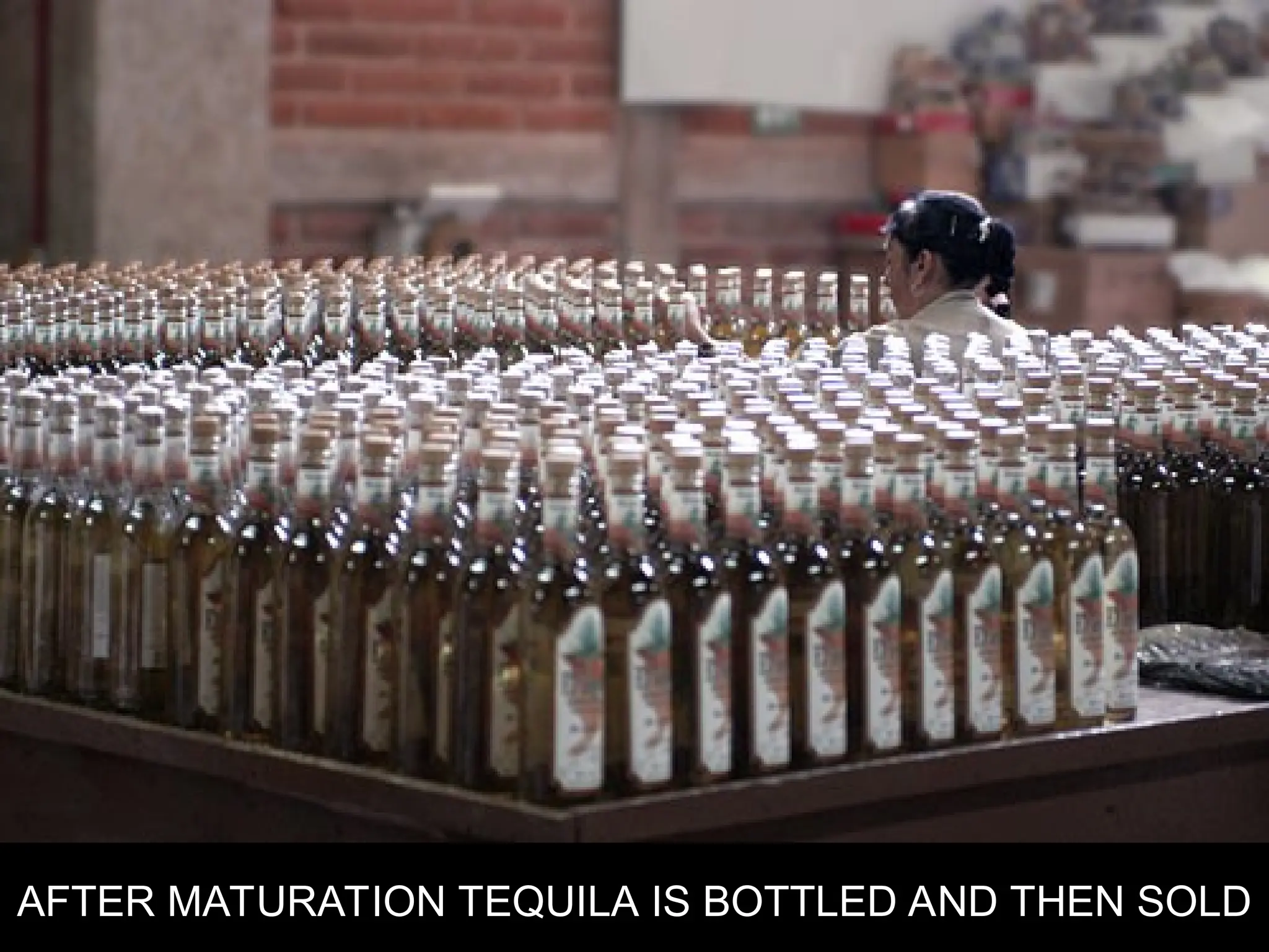 TEQUILA TEQUILATEQUILATEQUILATEQUILATEQUILA | PPT