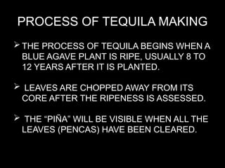 TEQUILA TEQUILATEQUILATEQUILATEQUILATEQUILA | PPT