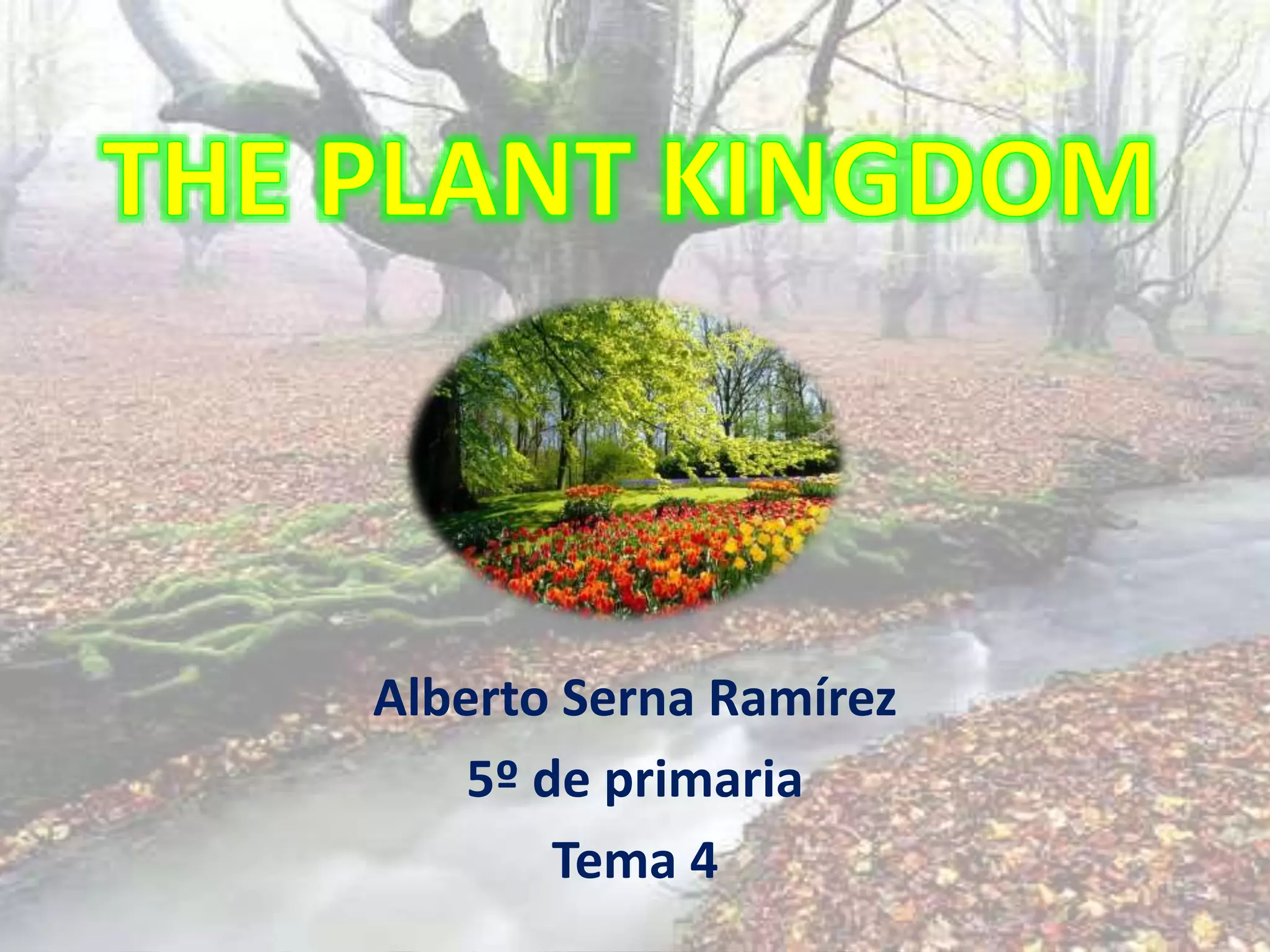 Unit 4 the plant kingdom | PPTX