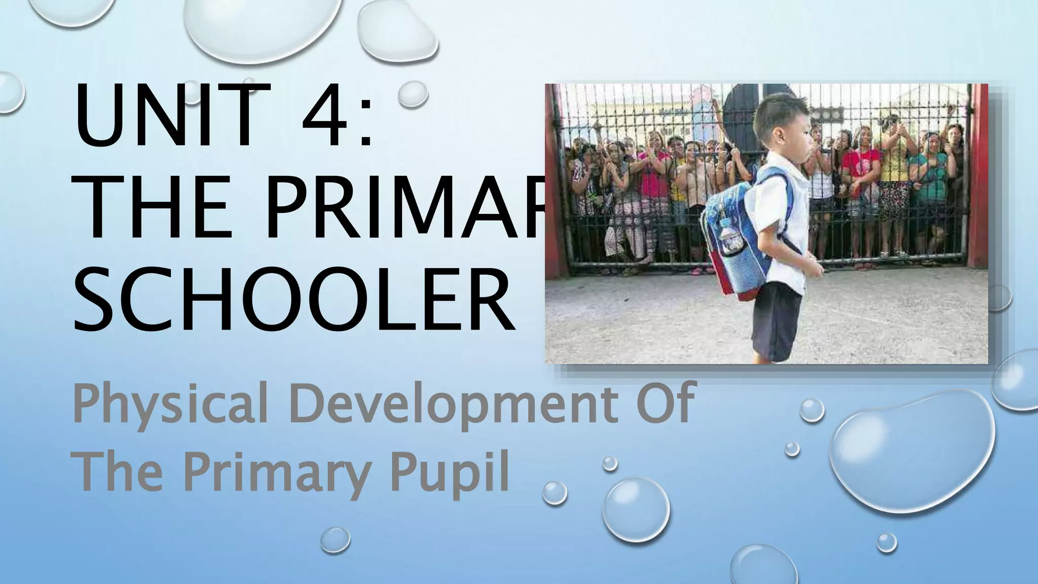 The Primary Schooler | PPTX