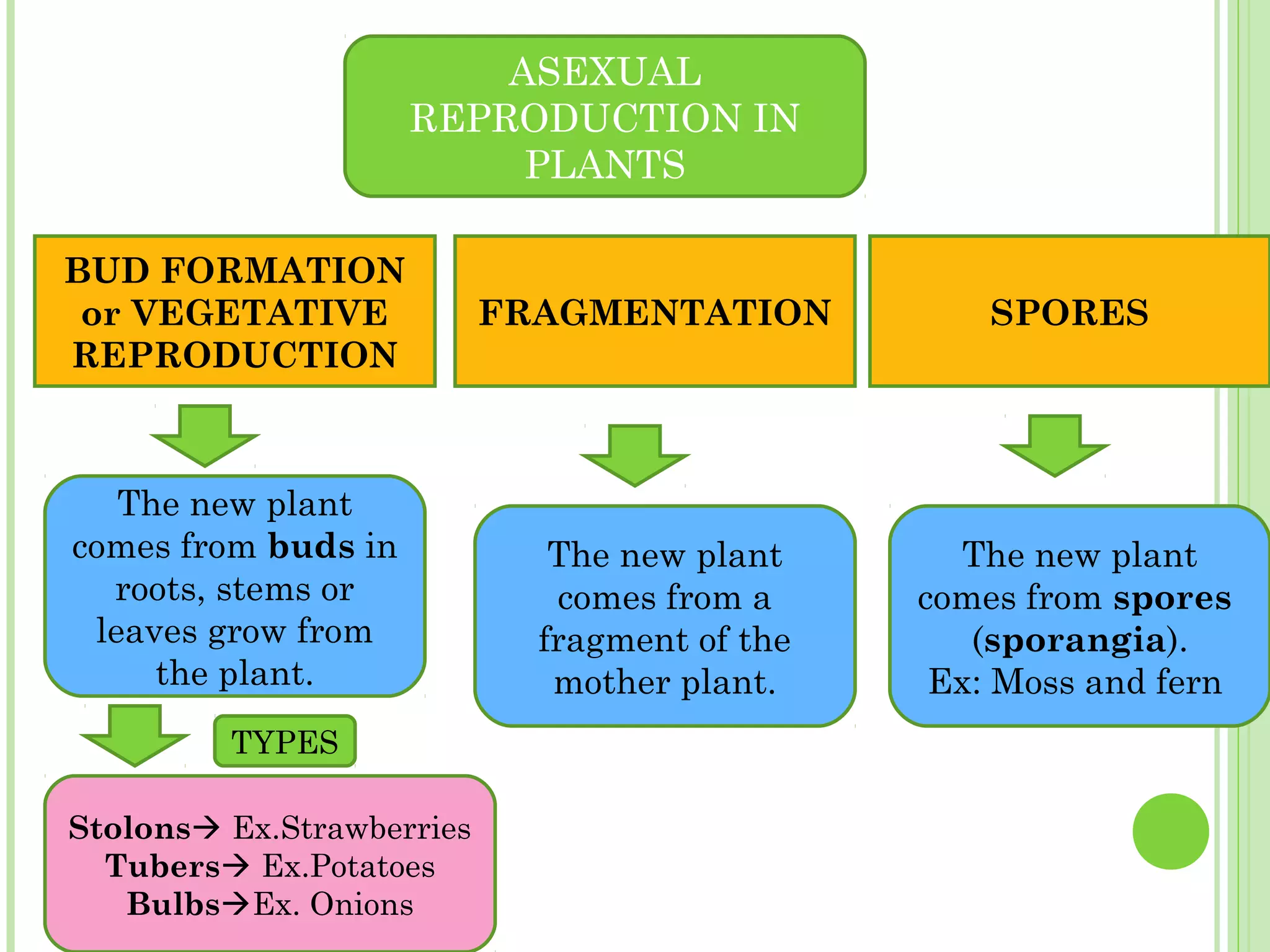 Unit 4 The reproduction function | PPT | Infertility | Reproductive Health