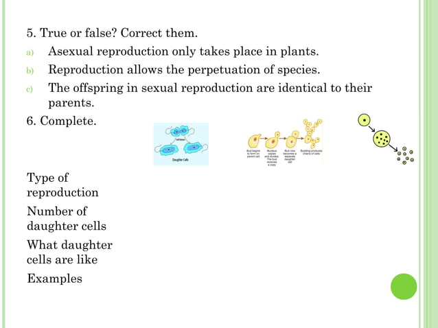 Unit 4 The reproduction function | PPT | Infertility | Reproductive Health