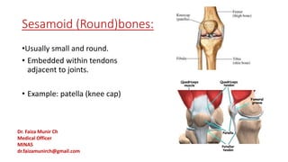 Unit 4 the skeletal system | PPTX