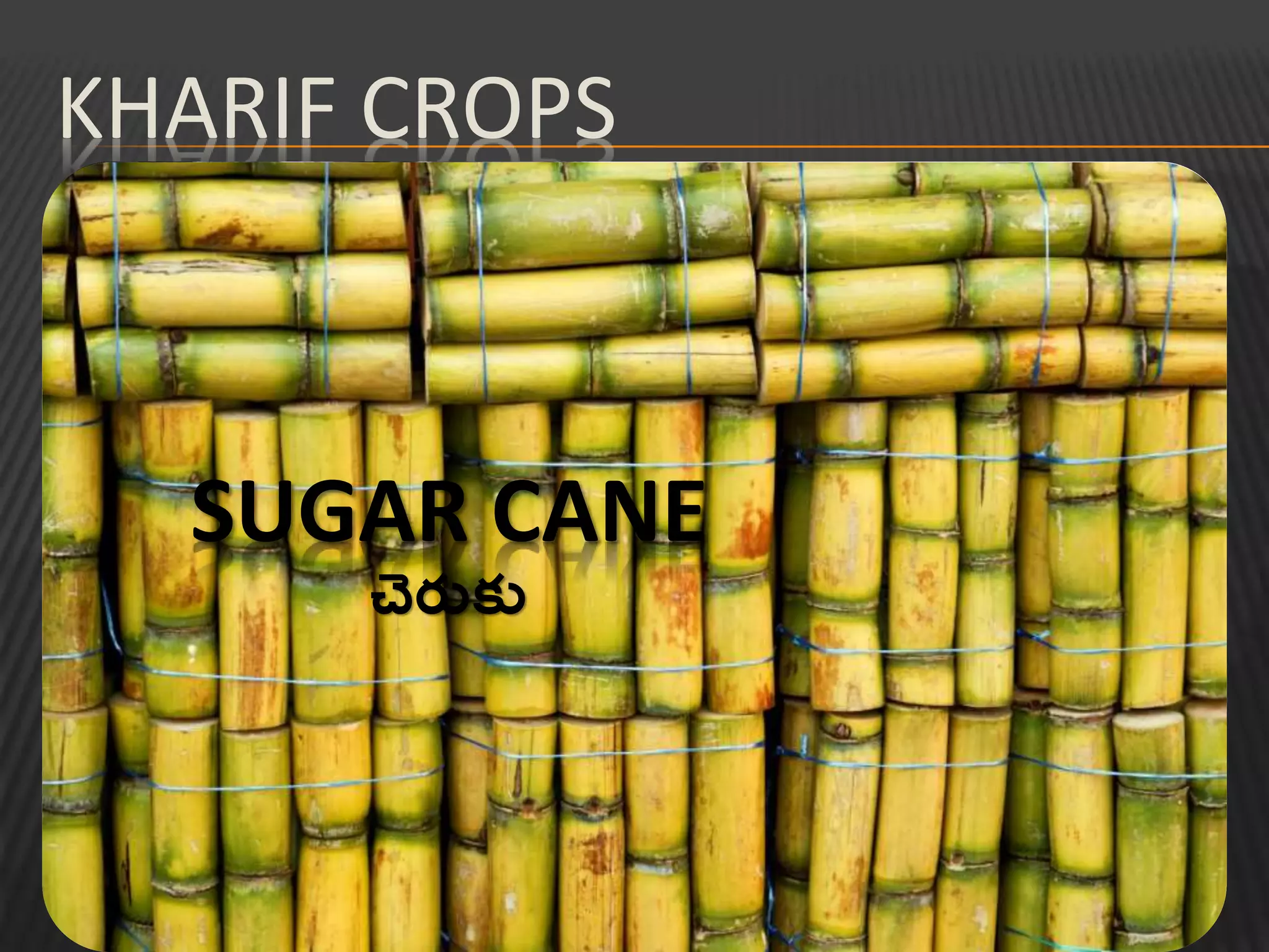 Types of crops in India | PPTX