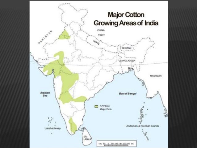 Types Of Crops In India