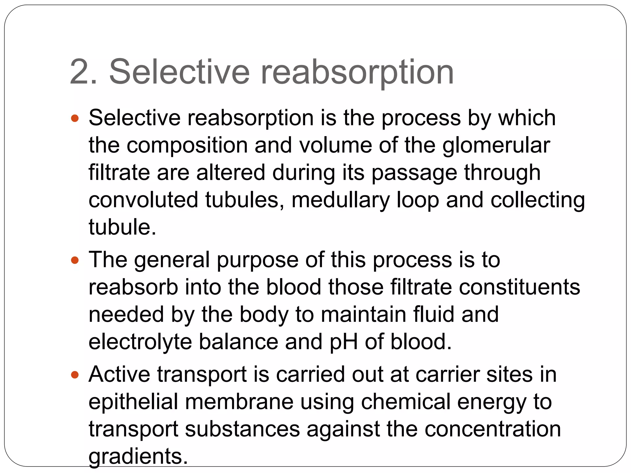 Unit 4 urinary system | PPTX